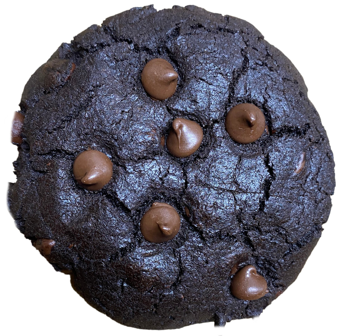 Midnight Chocolate Chocolate Chip Cookies – Naomi and Pearl
